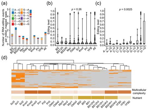 Jof Free Full Text The Genome Wide Characterization Of Alternative