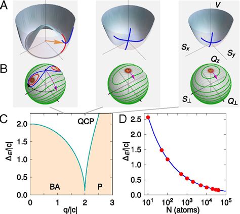 Adiabatic Quenches And Characterization Of Amplitude Excitations In A