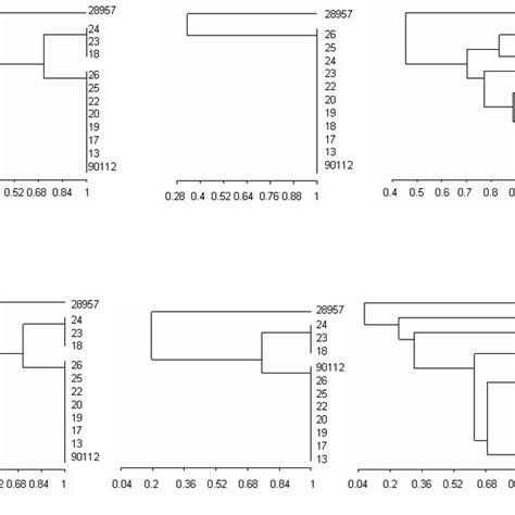 Dendrograms Showing The Relationships Of C Neoformans Isolates