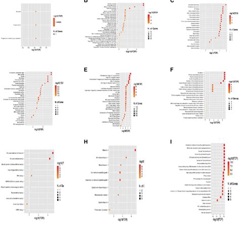 Enrichment Analysis Based On Top Hub Up And Down Regulated Genes A