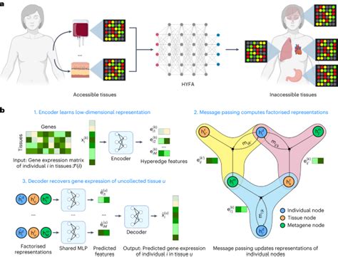 Hypergraph Factorization For Multi Tissue Gene Expression Imputation