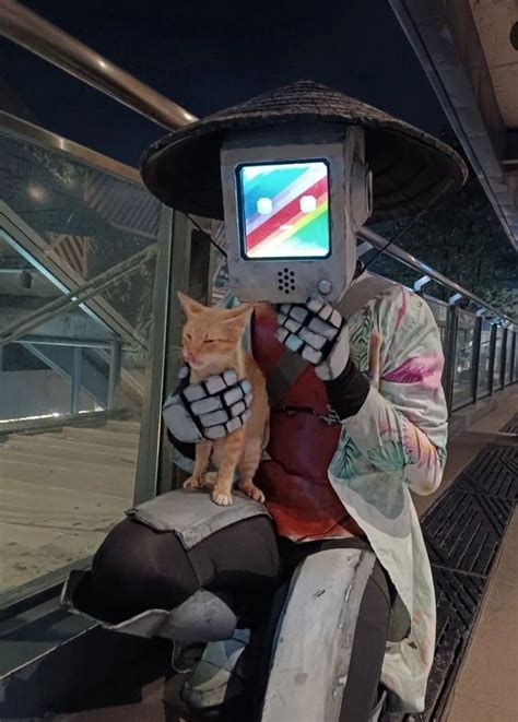 Pin By 🌙luna 🎮gamer ★ Z ★ On 🐈stray🤖 In 2024 Stray Cat Kitty Games