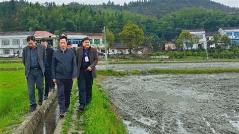 汪涛到南江镇调研 平江县政府网