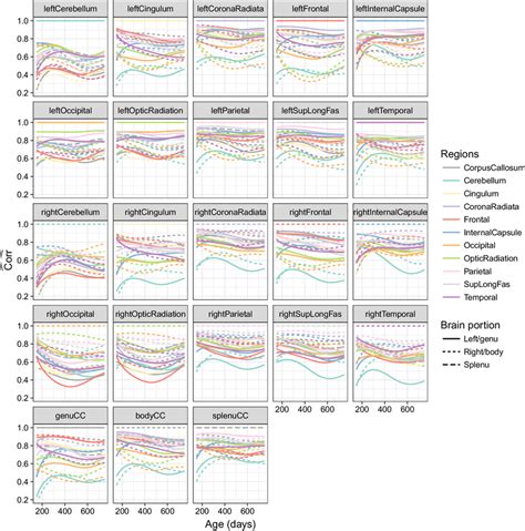 Pairwise Functional Correlations Between Different White Matter