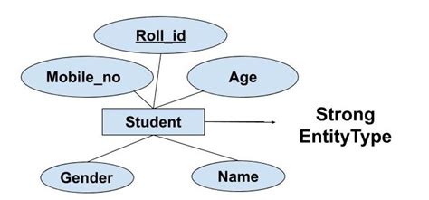 what is an entity entity type and entity set