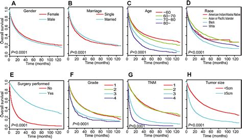 Development And External Validation Of Prognostic Nomograms In Hepatoc