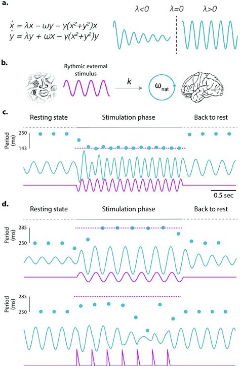 A Neural Oscillator Can Be Represented By An Ha Bifurcation A The