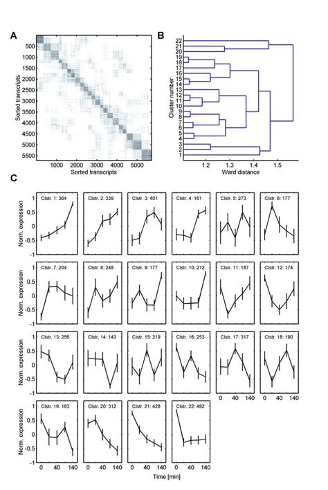 overview of a real whole genome consensus clustering result the yeast