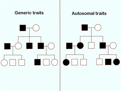 autosomal dominant pedigree chart example the chart