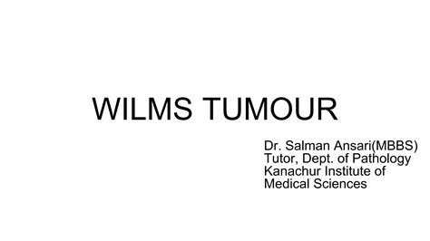 Wilms Tumour Pathology Rdt Ppt
