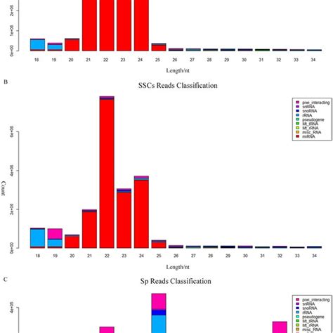 Classification And Annotation Of Small Rnas From Different Cell