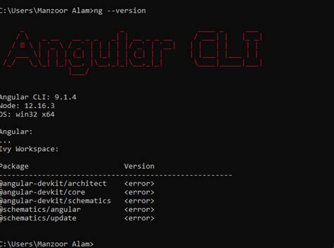 node js global `ng version` shows errors instead of version numbers