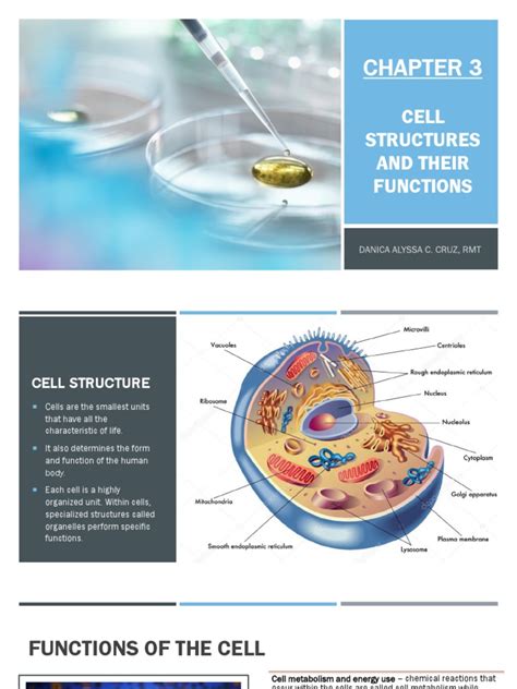 Anaphy Chapter 3 Cell Structures And Their Functions Pdf Osmosis