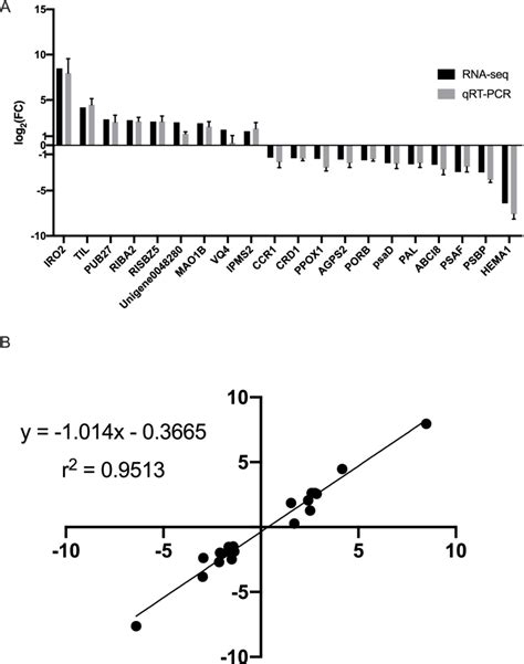 The Validation Of Transcriptome Using Qrt Pcr A The 20 Genes