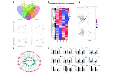 The Analyses Of Degs A Venn Diagrams Of The Degs In Different