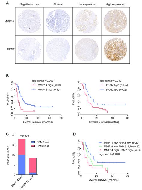 Identification Of Genomic Alterations And Associated Transcriptomic