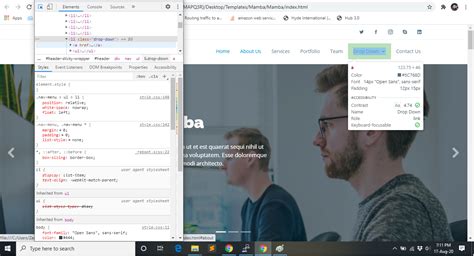 how to inspect php files using inspect element lotus rb