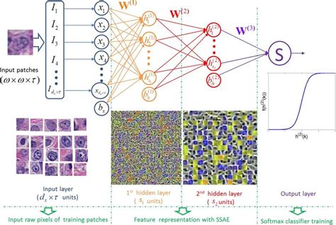 illustration of stacked sparse autoencoder ssae plus softmax