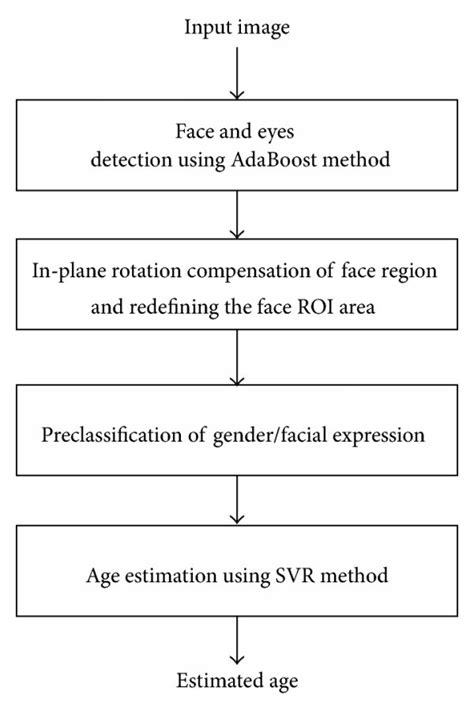 Overview Of An Age Estimation System That Considers The Effects Of
