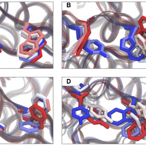 Hydrogen Bond Formation Between Substrate And Enzyme Throughout 100 Ns