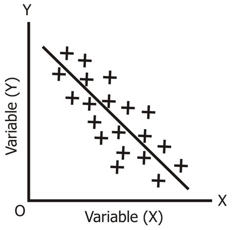 What Is Positive Correlation Definition And Meaning