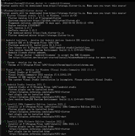 run flutter doctor android licenses no output and return to shell