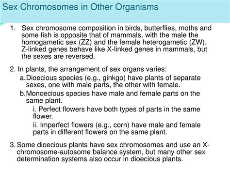 Ppt Sex Determination Powerpoint Presentation Free Download Id 850134