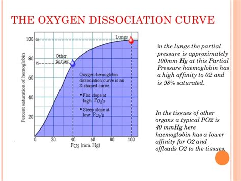 [solved] 1 Draw A Typical Hemoglobin Oxygen Dissociation Curve