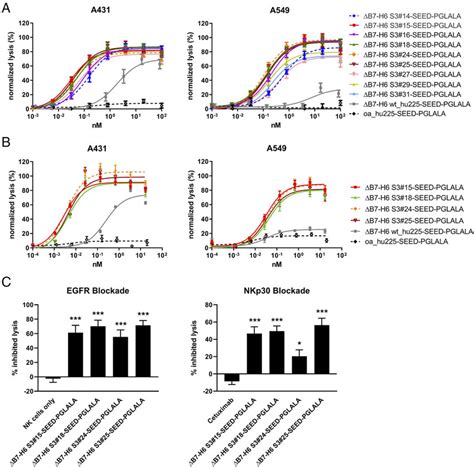 Cytotoxic Activity Of Affinity Optimized Db7 H6 Based Nk Cell Engager