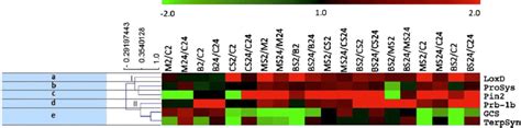 hierarchical clustering of the differentially expressed