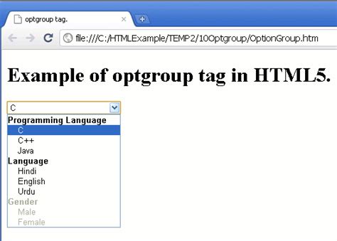 html5 optgroup example example of tag in html5