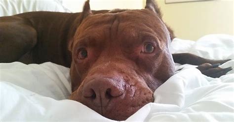 My Handsome Man Diesel Imgur