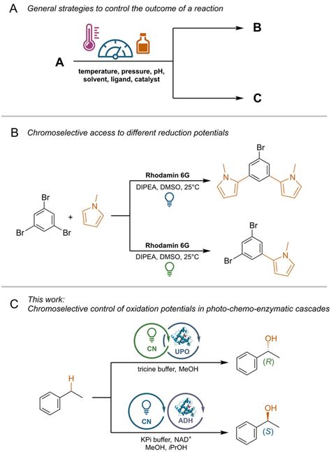 Scheme 1 A General Approaches To Control Of The Outcome Of A Chemical
