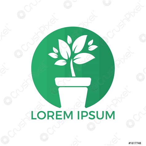Flower Pot And Plant Logo Growth Vector Logo Stock Vector 1617748