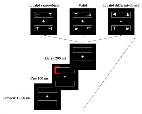 Stimuli And Sequence Of Events For Object Based Attention Experiment