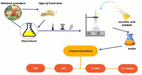 Applied Sciences Free Full Text Evaluation Of Green Synthesis