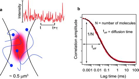 1 Principle Of Fluorescence Correlation Spectroscopy A The