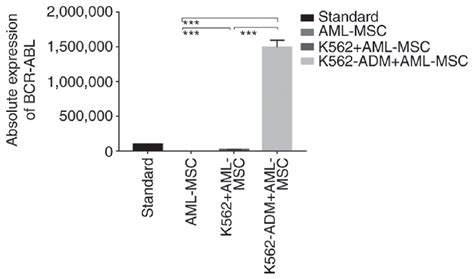 Absolute Quantitative Detection Of Bcr Abl Rt Pcr Was Performed On All