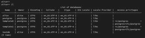 Cómo Instalar Postgresql 15 En Rocky Linux 9 Howtoforge