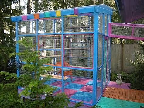 Cat Owners Are Building Catio Spaces For Their Favorite Felines