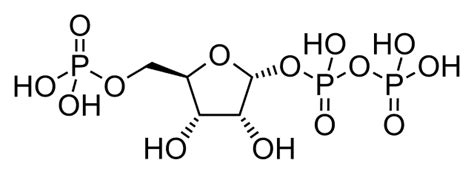 Phosphoribosyl Pyrophosphate Wikiwand