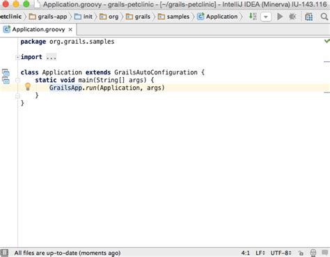 java 8 intellij idea 15 rc2 build 143 380 20 grails