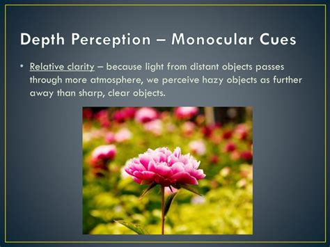 Ppt Perception Powerpoint Presentation Free Download Id 2271932