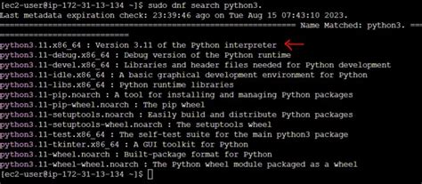 How To Install Python On Amazon Linux 2023 Cloudkatha