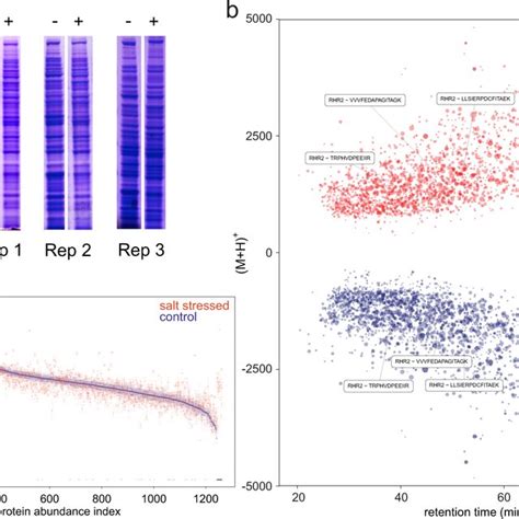 Cluster Analysis Of C Albicans Label Free Lc Ms Proteomic Data Under