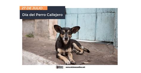 27 De Julio Hoy Se Celebra El Día Del Perro Callejero