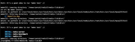 【redis】redis7新特性测试：通过主机名暴露集群节点信息 cluster support for hostnames