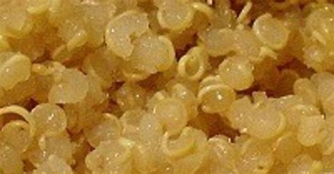 quinoa looks like a cluster of tiny used condoms imgur