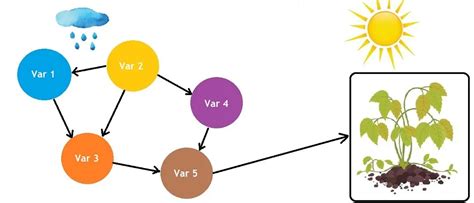 An Introduction To Bayesian Network For Machine Learning Ejable
