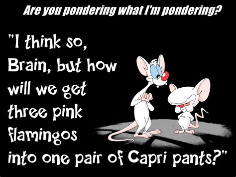 Funny Pondering Quotes Shortquotes Cc